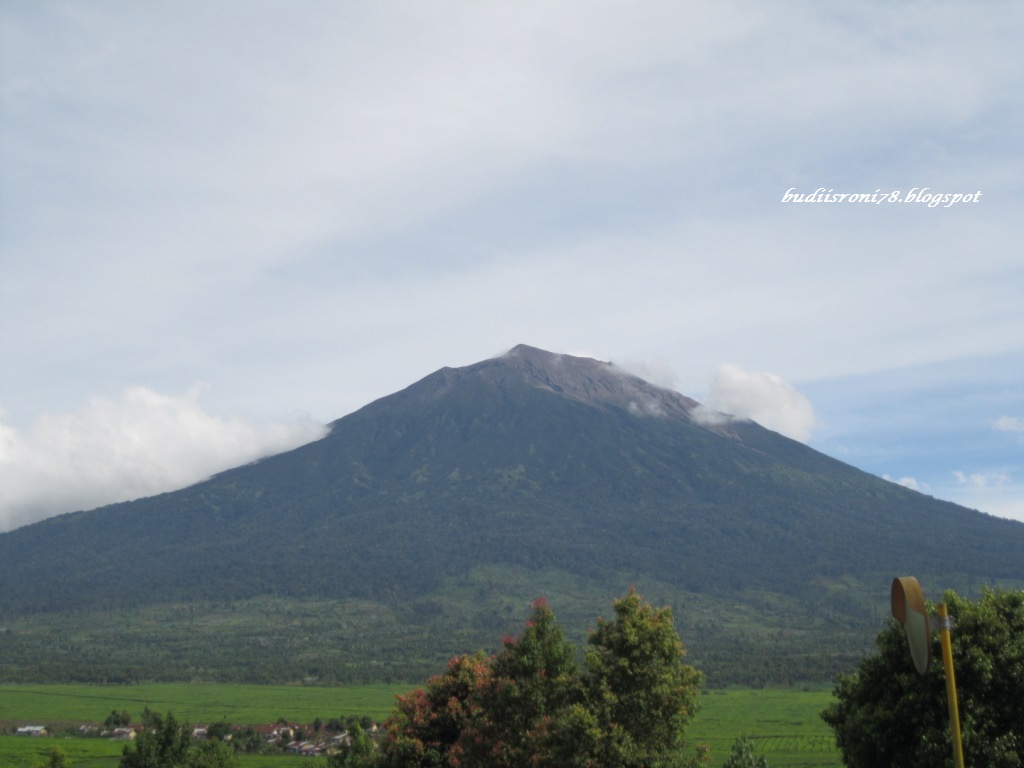Perburuan "Orang Pendek" (Uhang Pandak) di Kerinci (Artikel dari ...