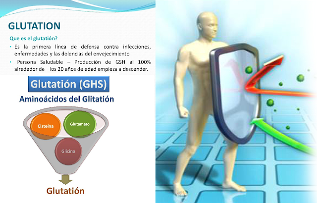 ¿Qué es el Glutatión? ~ Manten tu Salud Fortaleciendo tu Sistema Inmune