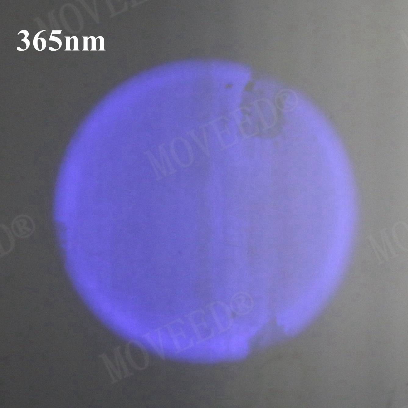 Forensic Light Source Photography