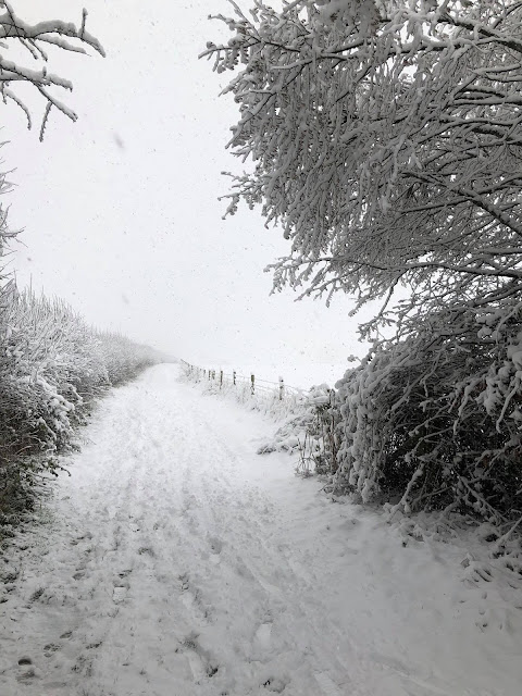 Photos // Let it Snow, Let it Snow, Let it Snow... Winter Magic ...