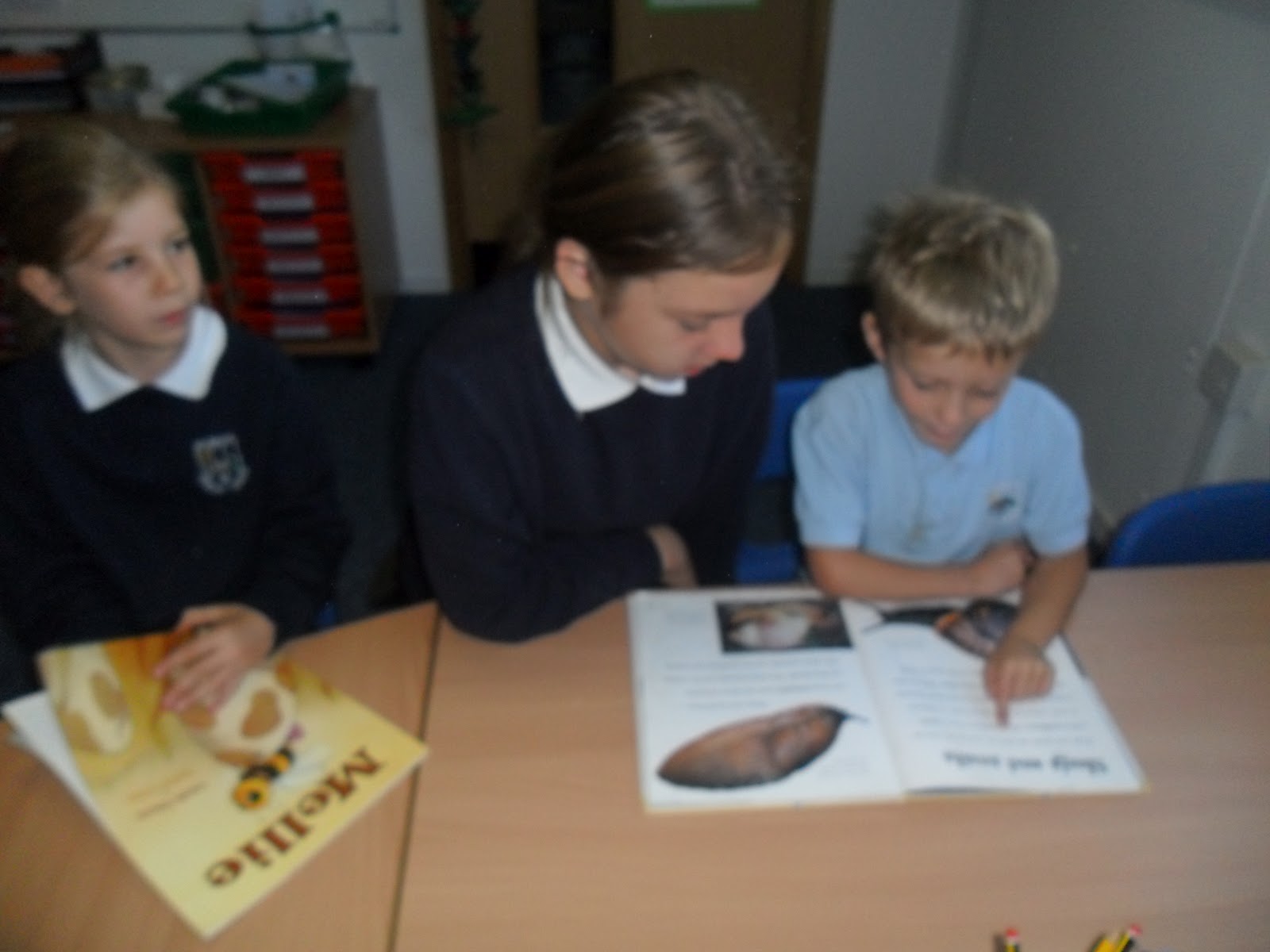 Begbrook Primary School Year 1: Reading with our buddies!