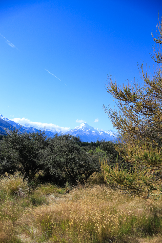 ink + adventure: Mount Cook and the "perfect" campsite