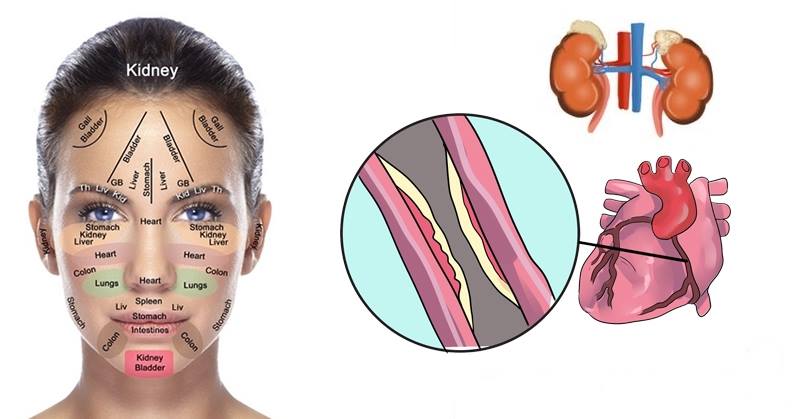 Health Remedies : How To Determine the Health Of Your Kidneys, Hormones ...