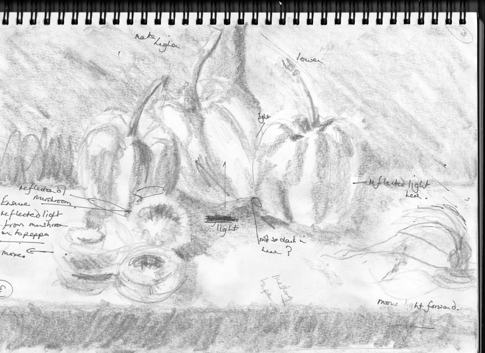 Sue F - Drawing Learning Log: Assignment 1 -Man made and Natural objects