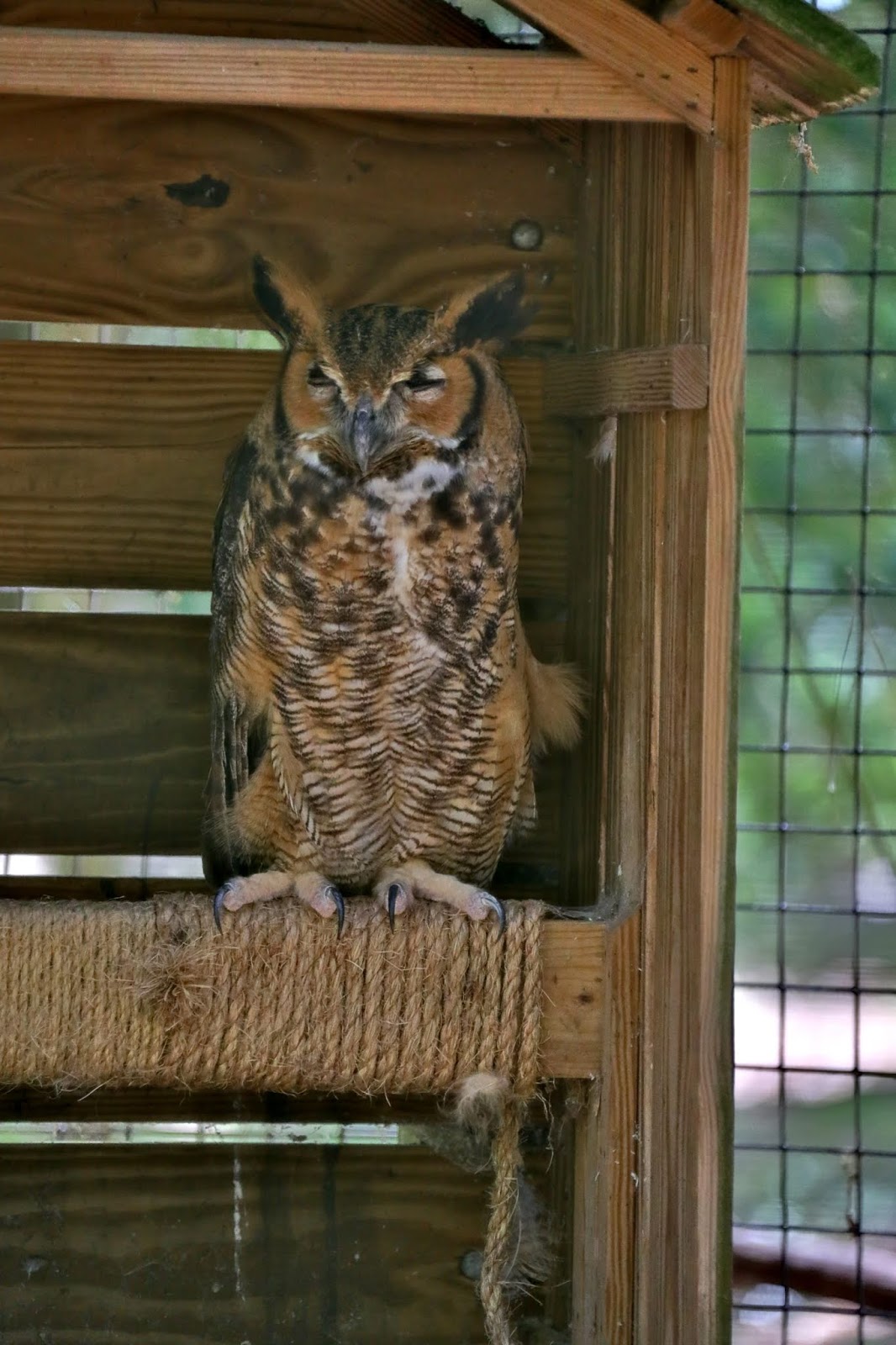 My Kampah: 4/11/19 GreenBrook Garden