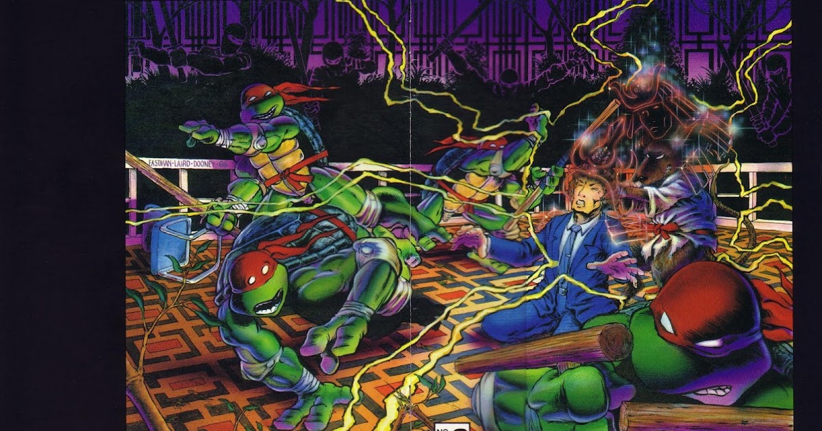 Teenage Mutant Ninja Turtles #9