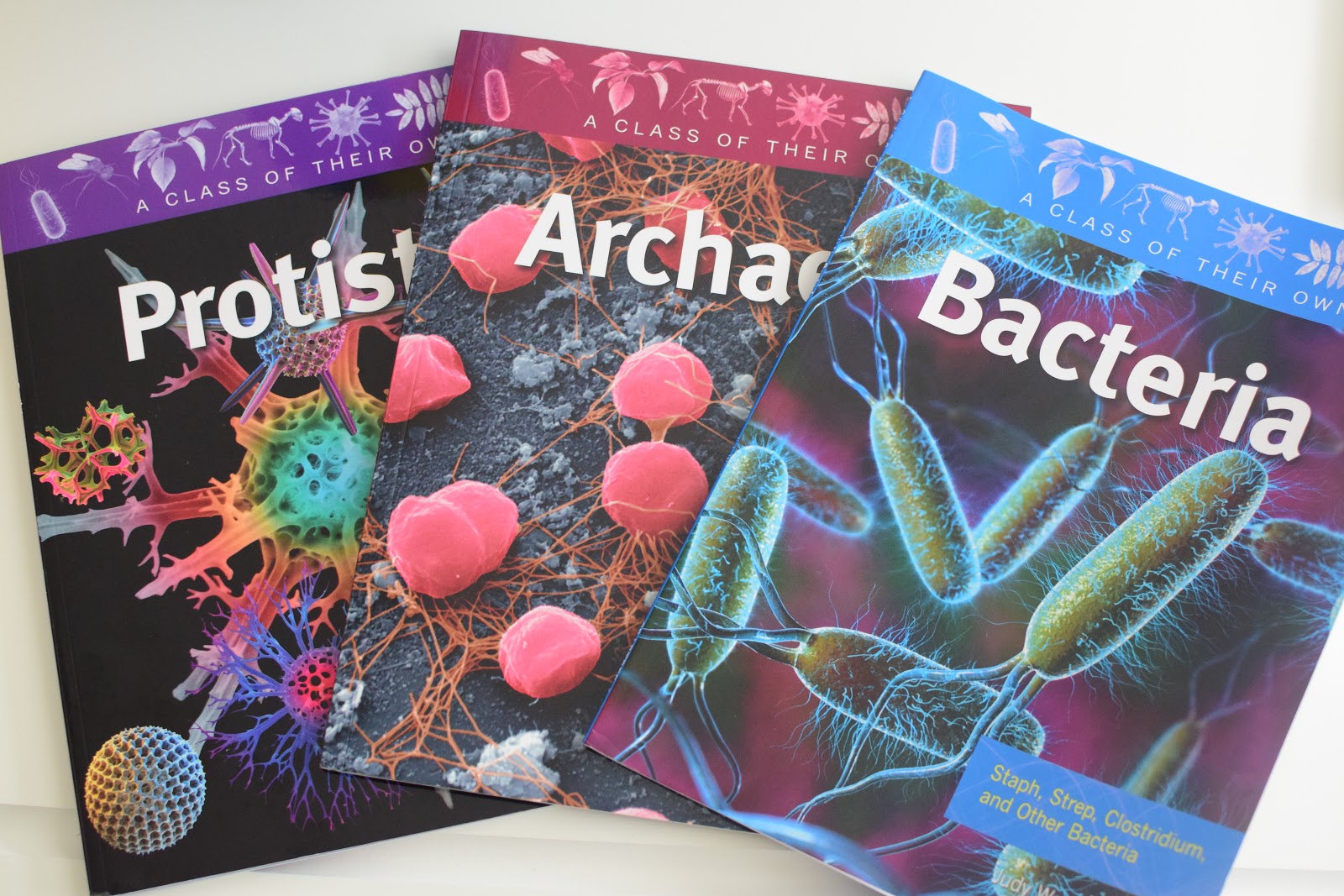 Introducing the 6 Kingdoms of Life | The Pinay Homeschooler