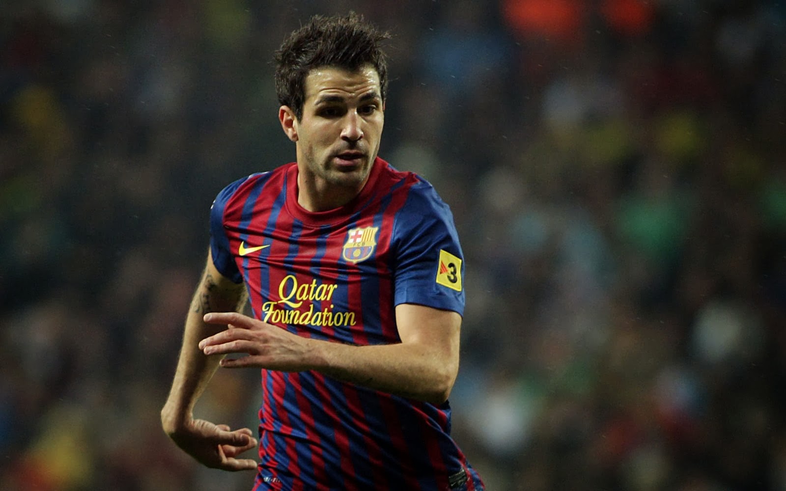 art pictures: Cesc Fabregas Wallpapers