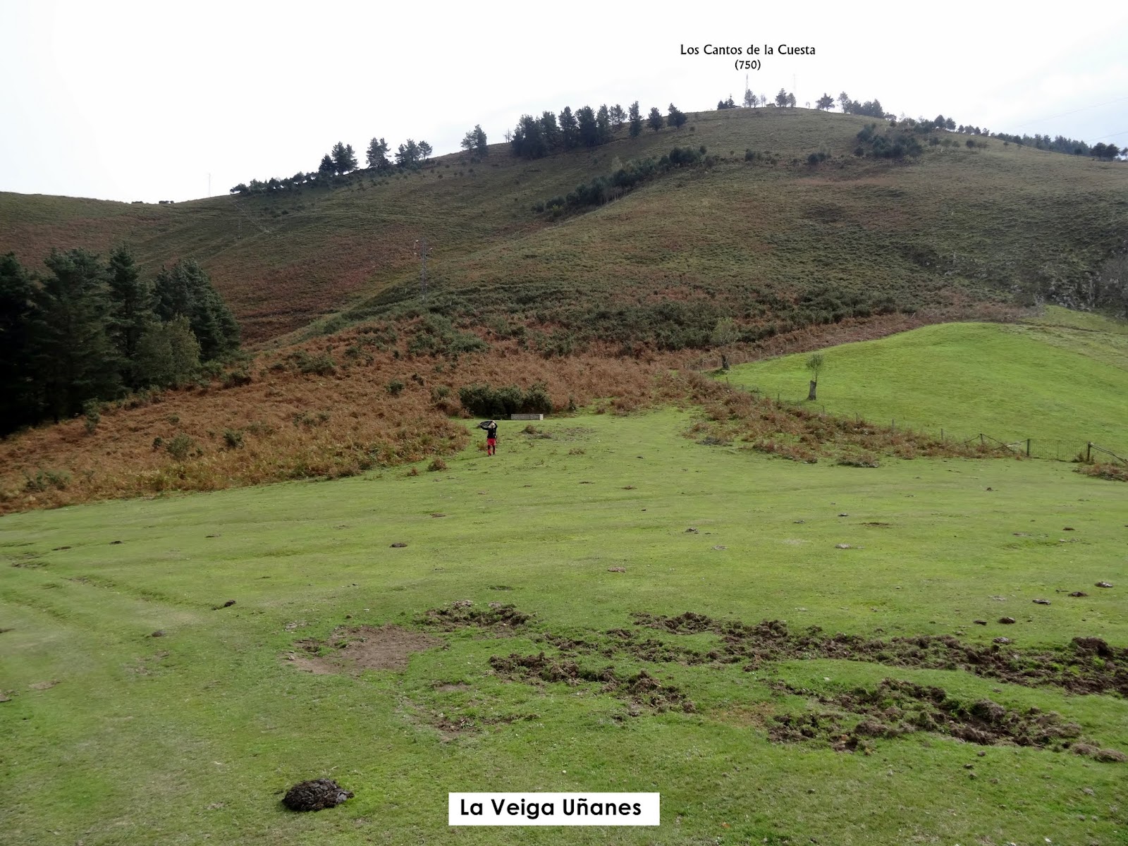 Pindio, pindio: Tornín-Següencu