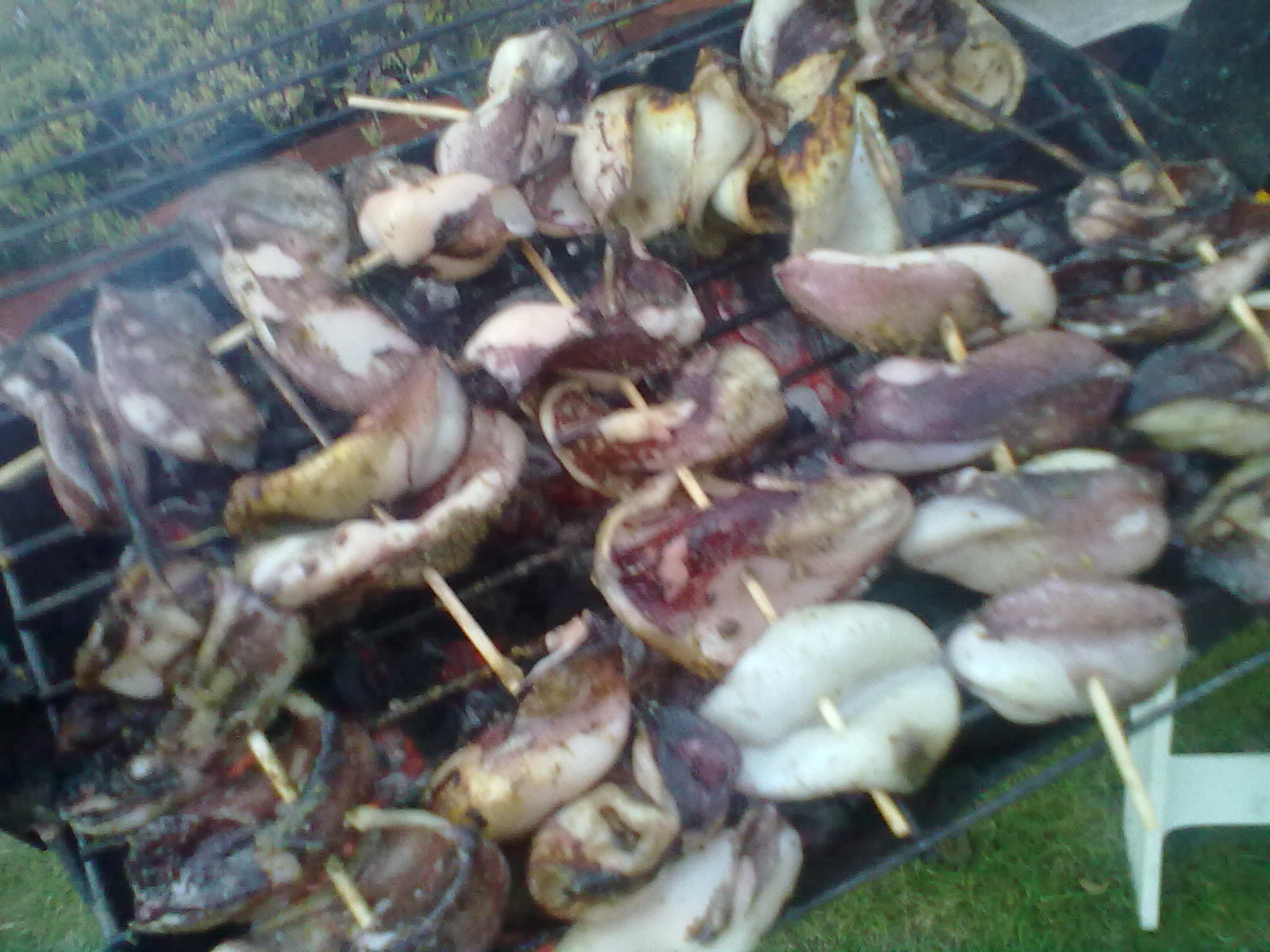 Pratos da Bela: Lulas grelhadas...