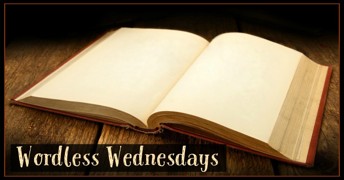 Counting Pinecones: Wordless Wednesday