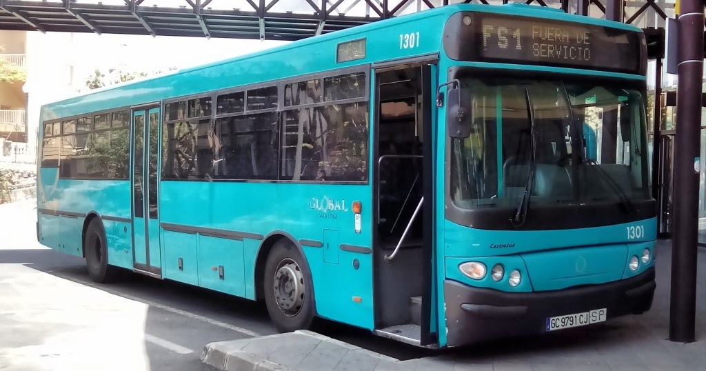 IC GLOBAL SALCAI UTINSA: Tipos De Guaguas y Información. (Actualidad)