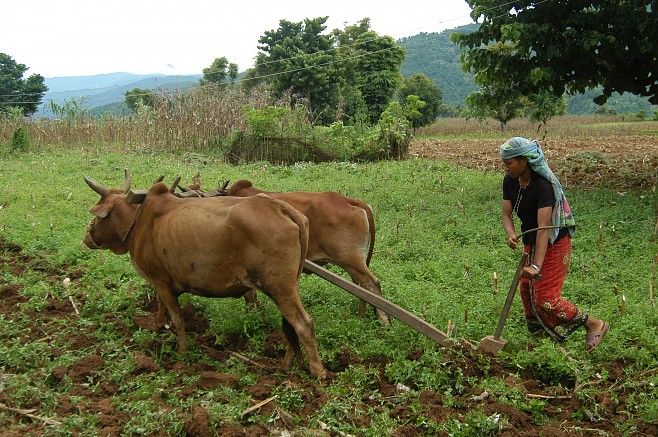 Role for agriculture in rural development ~ Rural Development