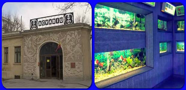 România online - Turism în România