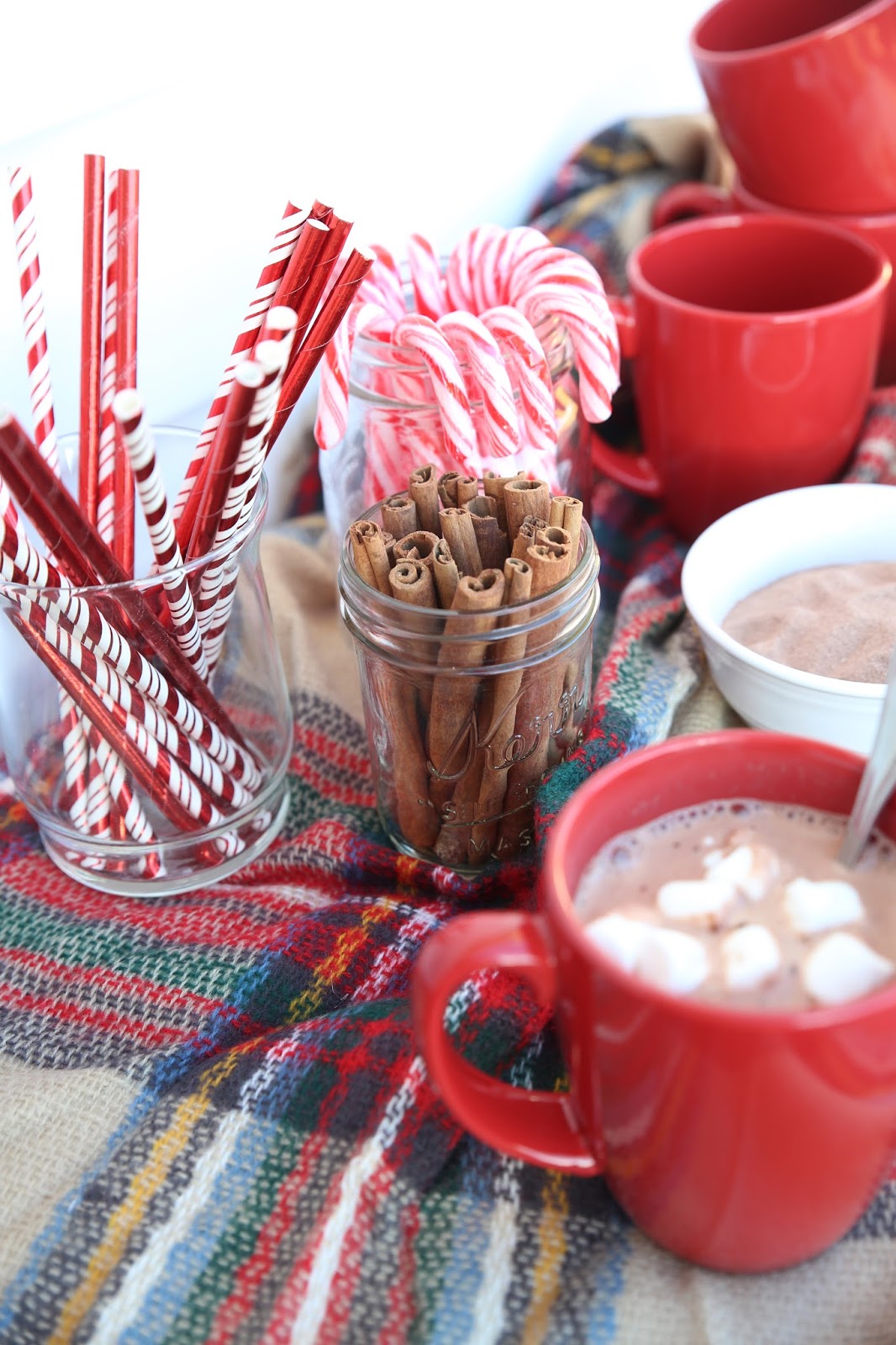 b.davis photography: Christmas Coco Celebration