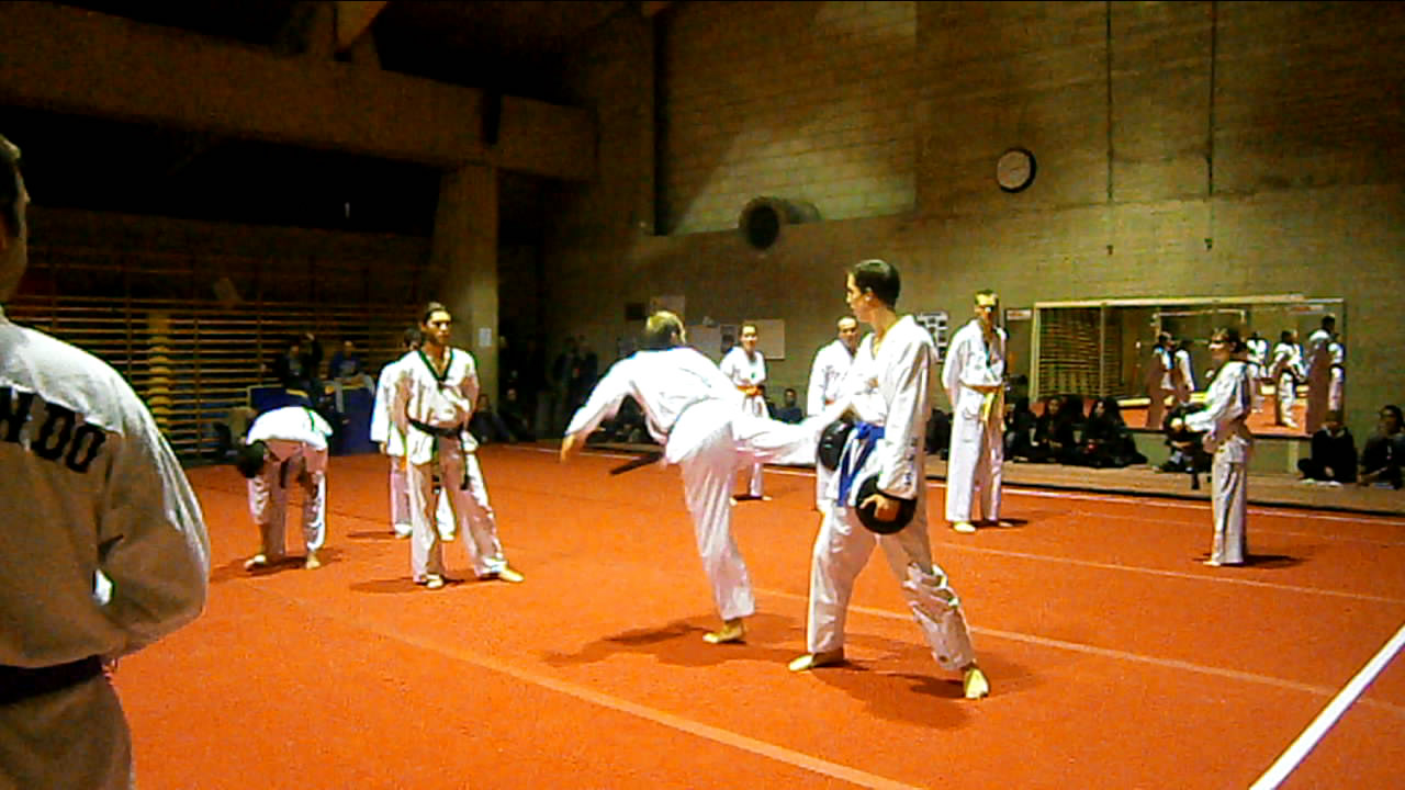 TAEKWONDO PERFORMANCE: Démonstration de Taekwondo au salon des sports ...