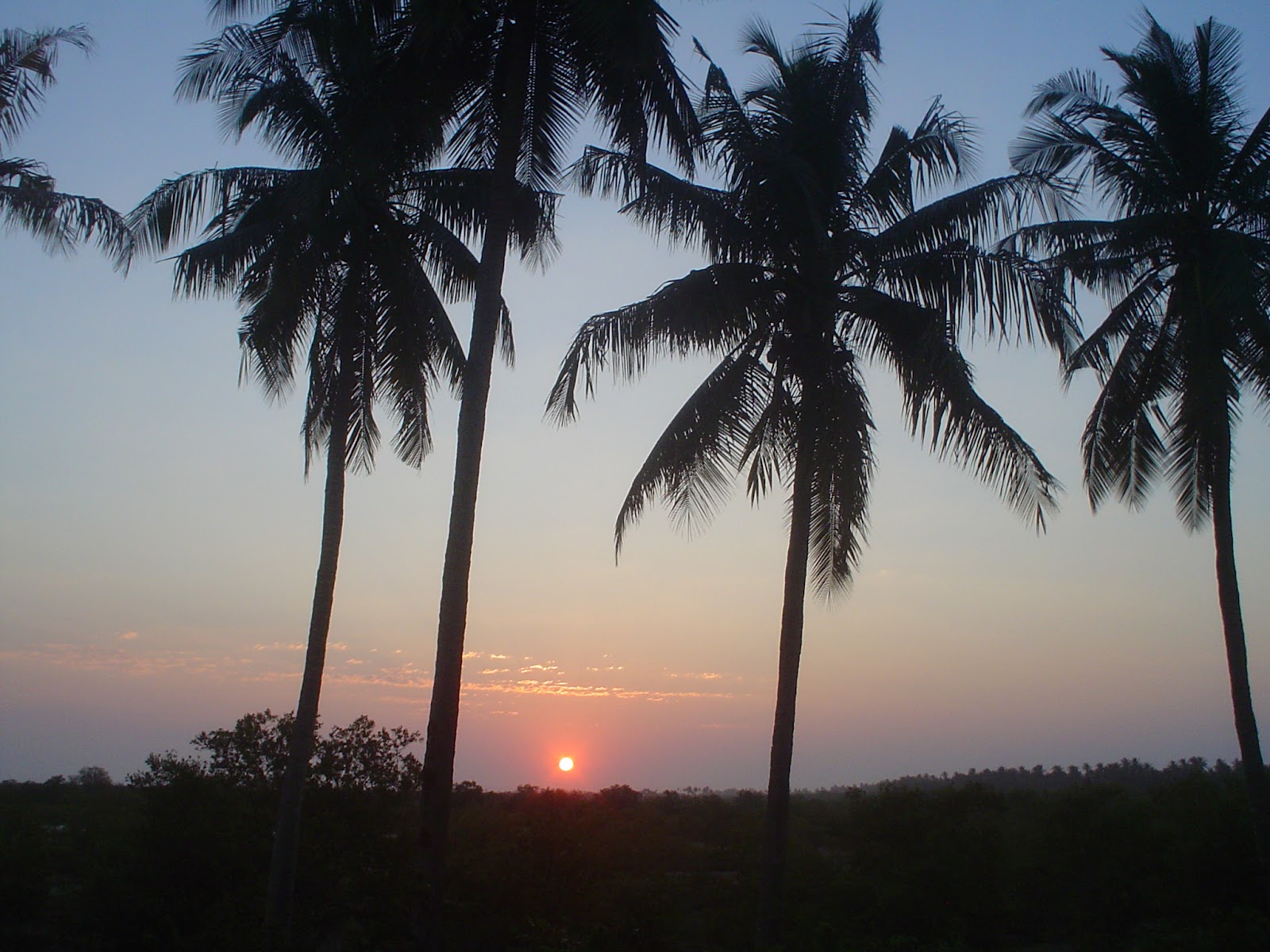 Viver Moçambique: Visita á Praia do Tofo & Praia da Barra - Inhambane