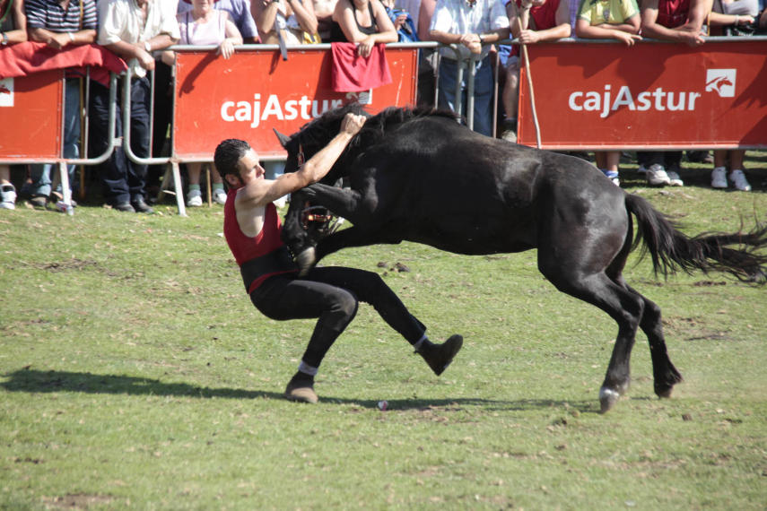 RINCONES DE ASTURIAS: EL ASTURCON