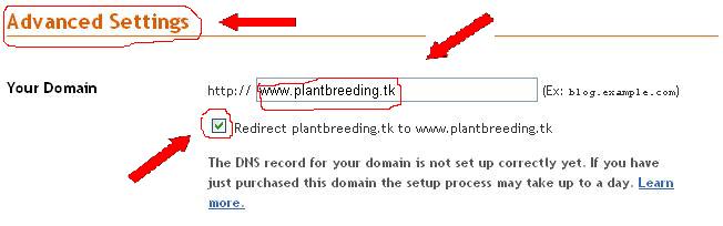 Earn money: How to map custom dot.tk domain with blogspot
