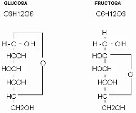 BIOQUIMICA EN PRODUCTOS DE ORIGEN CÁRNICO: AZUCARES