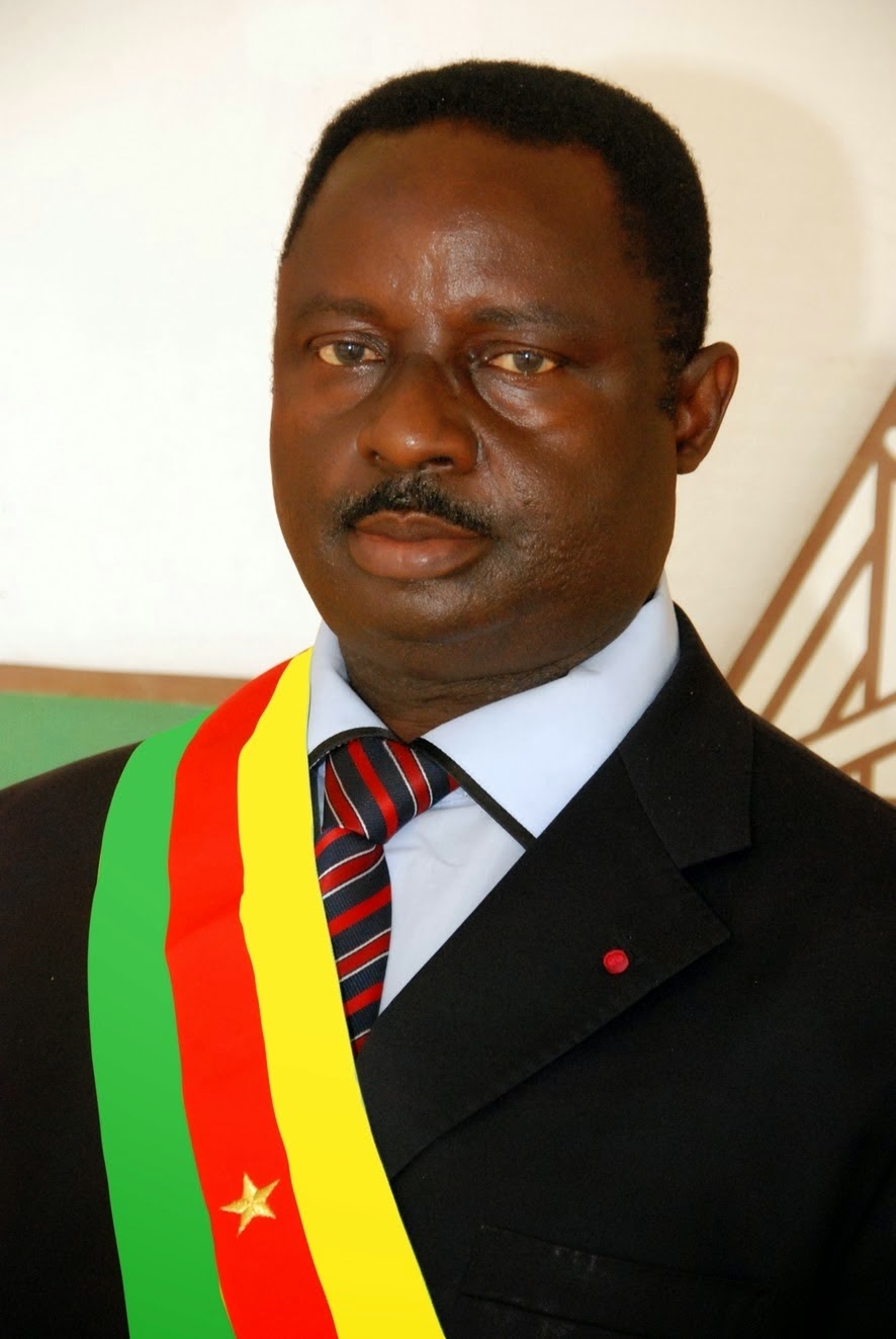 NewsWatch Cameroon: National Assembly: CPDM Dominated Committee Throws ...