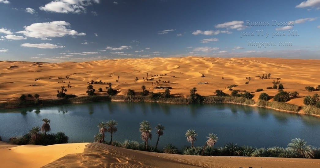 Reflexiones para TI y para MÍ: ** EL OASIS (Hermosa Reflexión)