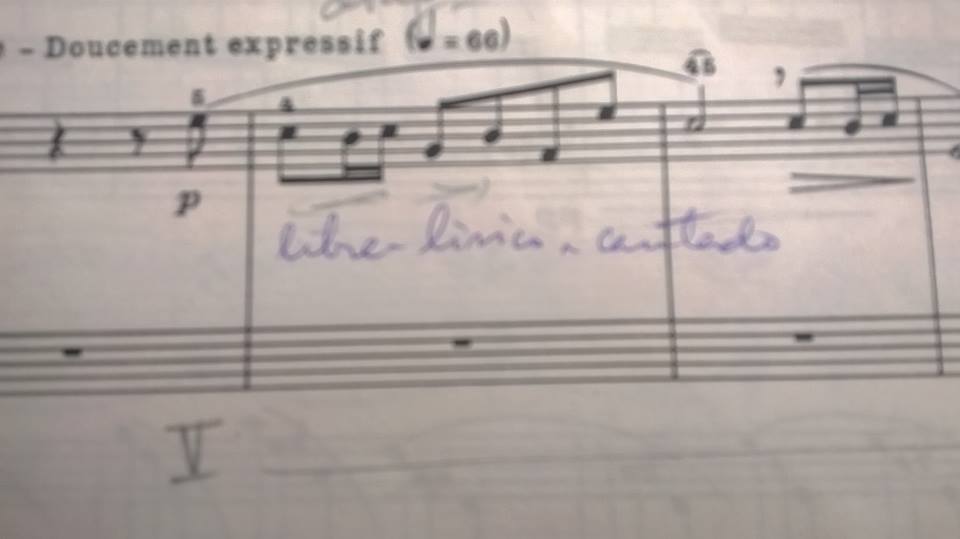 El Mirador Nocturno: Homenaje a Pía Sebastiani