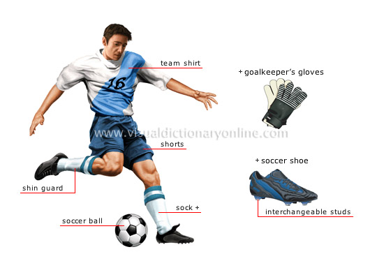 WE SPEAK ENGLISH TOO: SPORTS EQUIPMENT