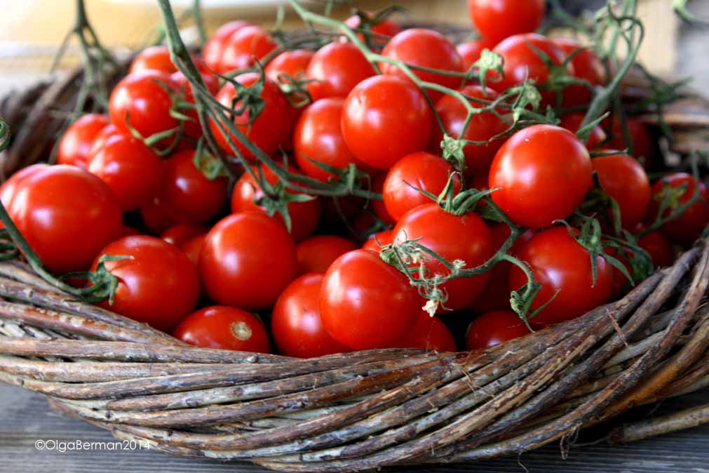 Mango & Tomato: Aglaia Kremezi's "Tomato Salad" Bread: Memories of ...