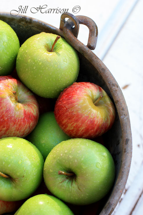 Life Images by Jill: An old bucket and a bag of apples