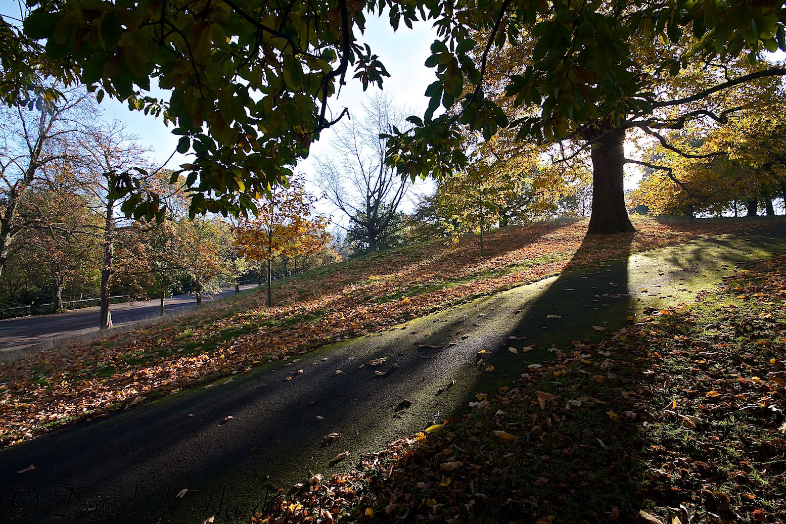 As I See It - David K Hardman Photography: Autumn in Greenwich Park