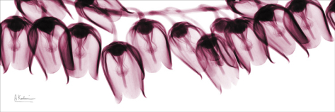 .: Albert Koetsier Beyond Light