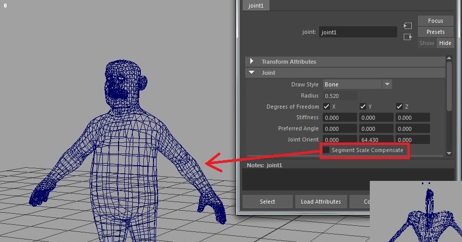 Character/Pipeline TD : Maya Segment Scale Compensate for Joint