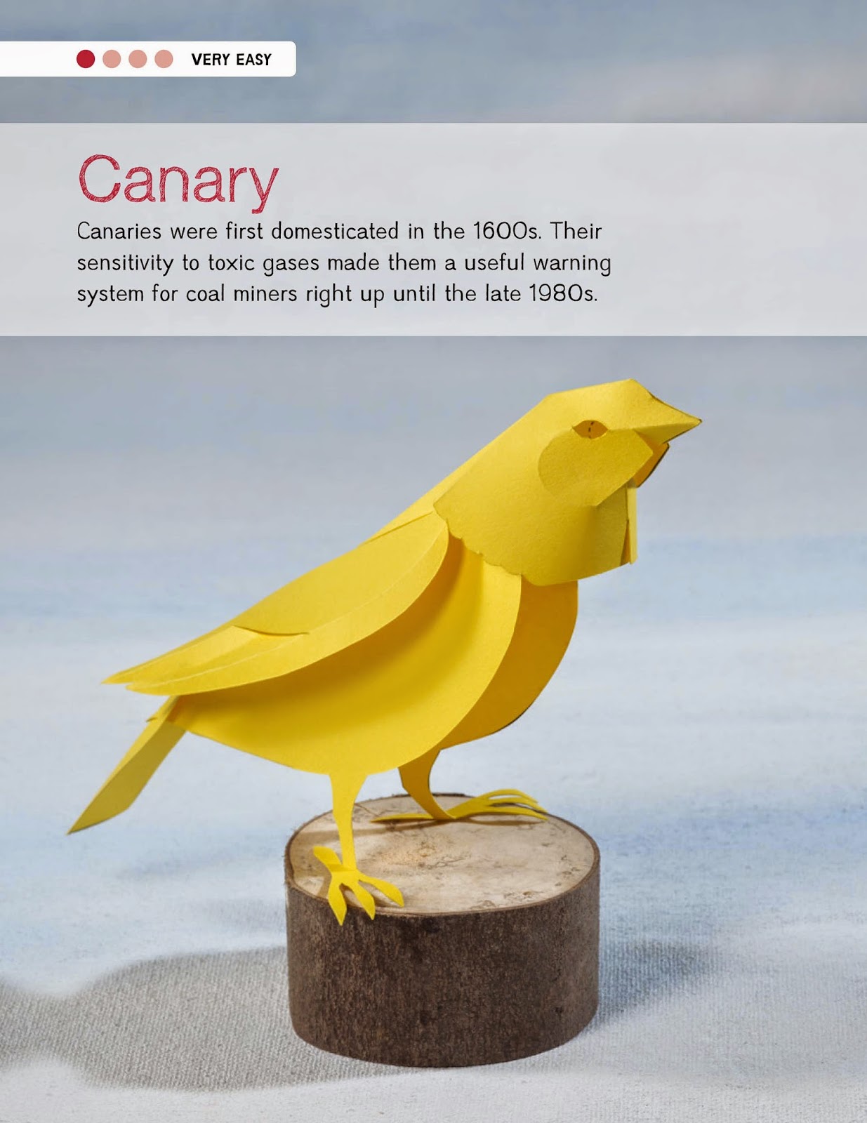 Pet Blog By Bocci @ Bocci's Beefs: The Art Of Paper Craft Birds And Our ...