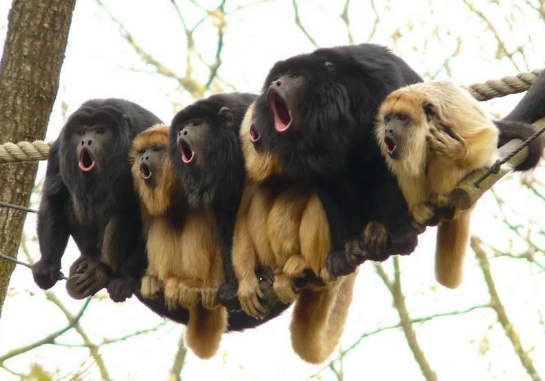 ¡A tu Salud!: noviembre 2013