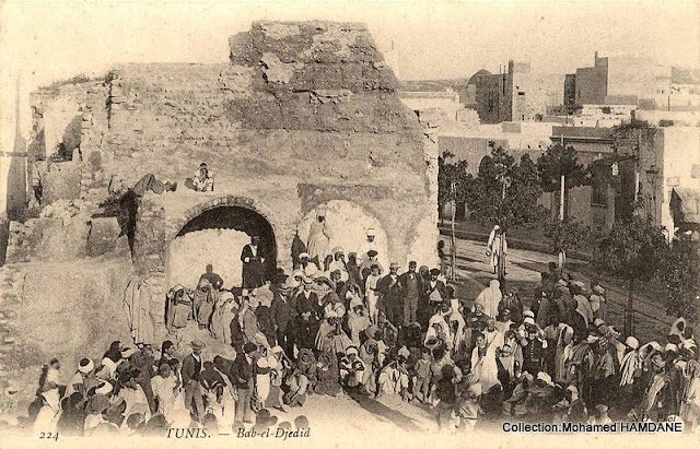 CULTURE et PATRIMOINE DE TUNISIE EN IMAGES- MOHAMED HAMDANE-ثقافة وتراث ...