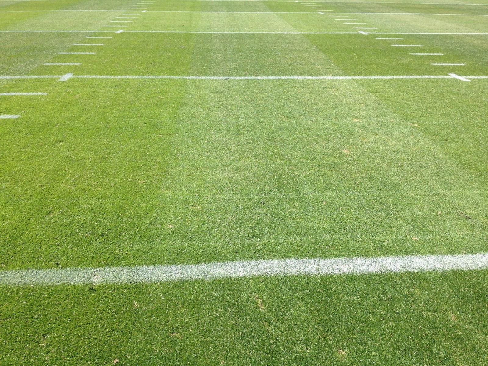 Smart Turf: Overseeding Cool Season Athletic Fields