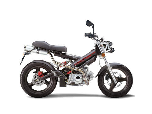 SPESIFIKASI MOTOR: SPESIFIKASI MOTOR MINERVA MADASS