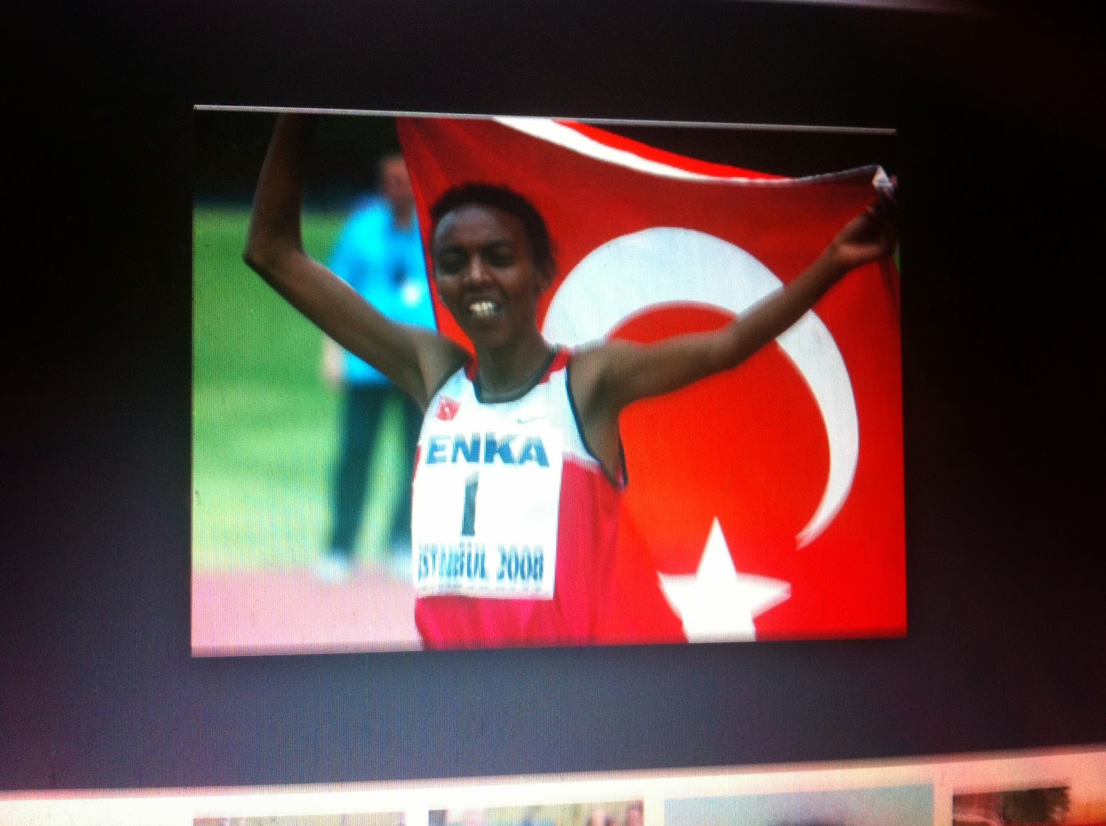 THE BLACK SOCIAL HISTORY:: BLACK SOCIAL HISTORY : AFRO-TURKS , HOW THE ...