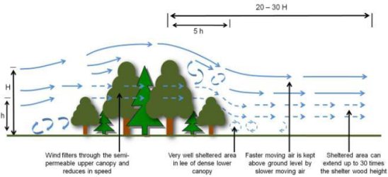 Hikmah Fenomena Cuaca dan Iklim: 2018