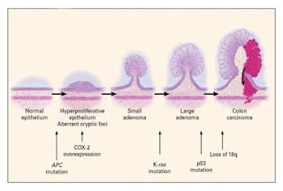 My Gastro Room: October 2012