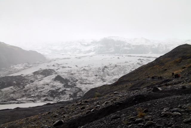 The Official Blog of Sarah R. Lotfi