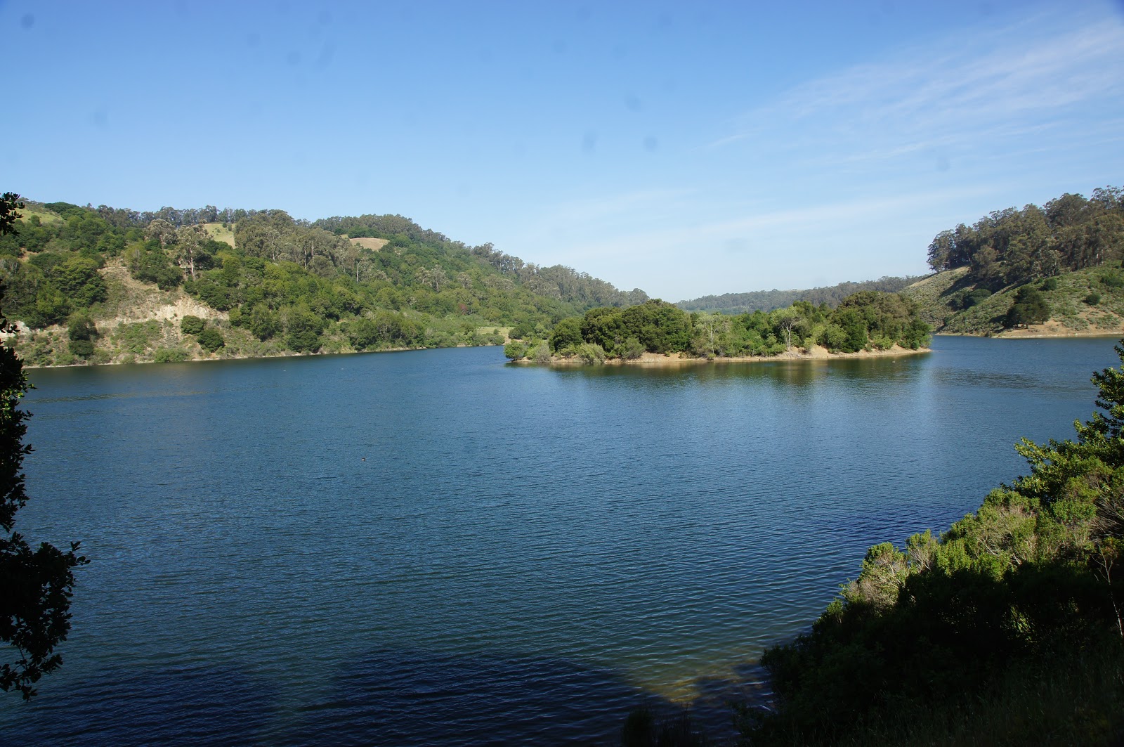 Mamma Quail Hiking California : Coming Full Circle: Around Lake Chabot