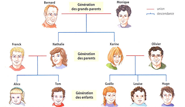 E&F-learninGOnline: MIEMBROS DE LA FAMILIA (FRANCÉS)