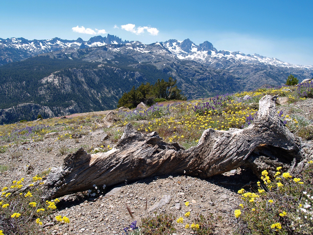 Open Air and Sunshine: Minaret Vista - Hiking Mammoth Lakes, CA