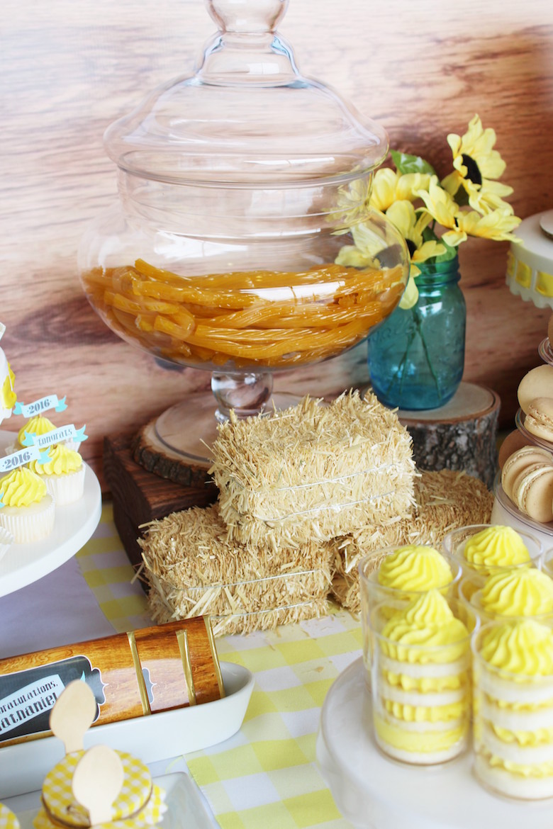 Fawn Over Baby: Country Themed Pre-K Graduation Party By Ashleigh ...