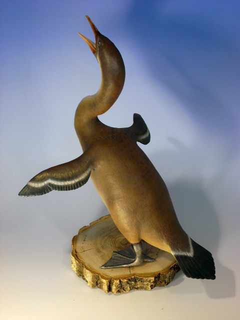 Hirokazu Tokugawa's Paleo Sculpture: Copepteryx(Plotopteridae)(2011 )