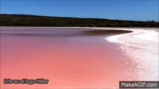 Conociendo el mundo : MARAVILLAS DEL MUNDO: CONOCE EXPLORA Y VIAJA