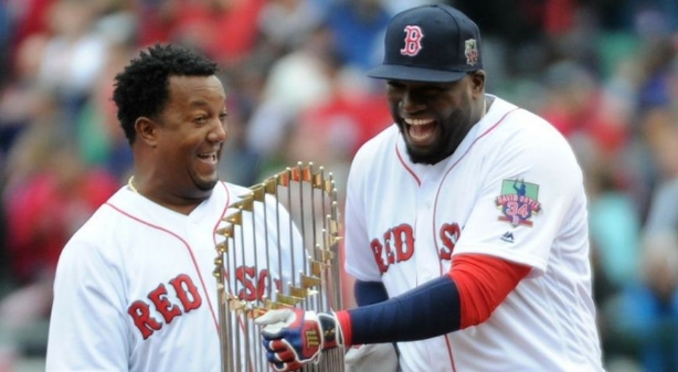 biografias: David Américo Ortiz Arias