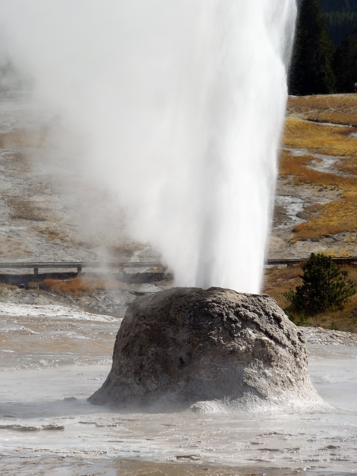 Focusing On Travel : Yellowstone: A Geyser Gazers Guide to the Upper ...